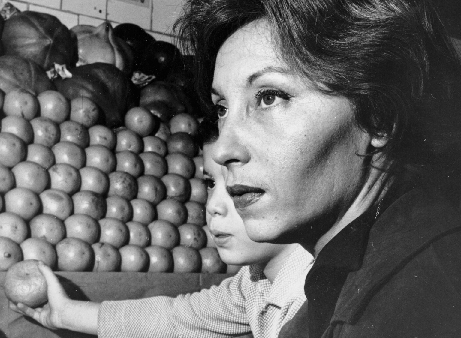 Before the Hour, a preface by Paloma Vidal – Clarice Lispector