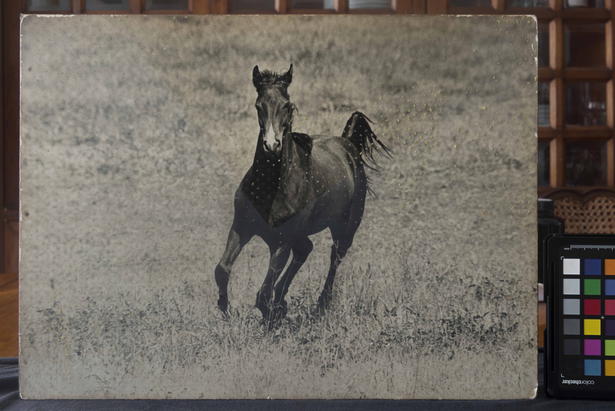 At Home With Clarice – Clarice Lispector